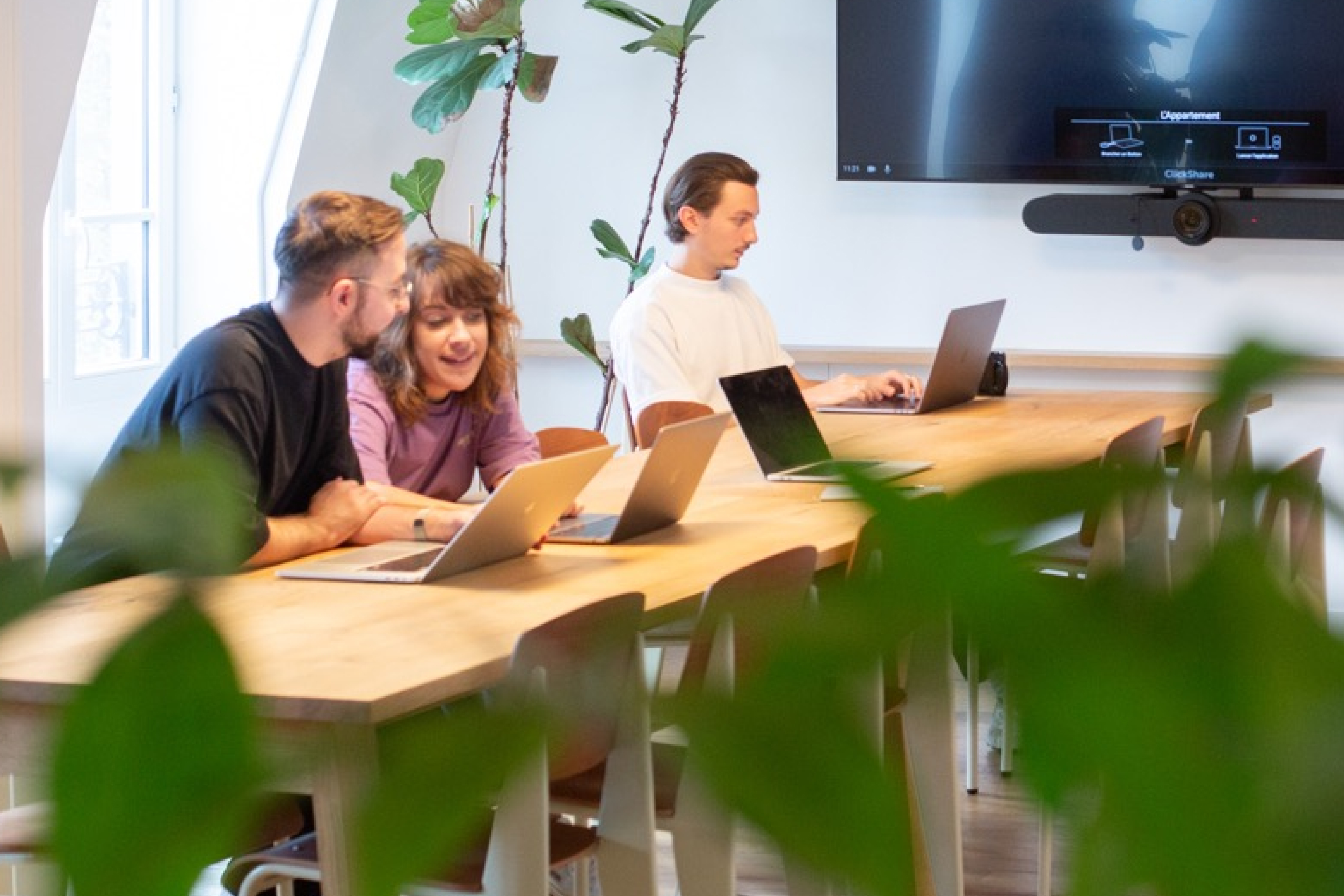 AREA 17 — A brand, experience, and technology company